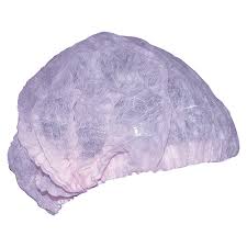 Pink Bouffant Cap - Pack of 250 – KasperMed